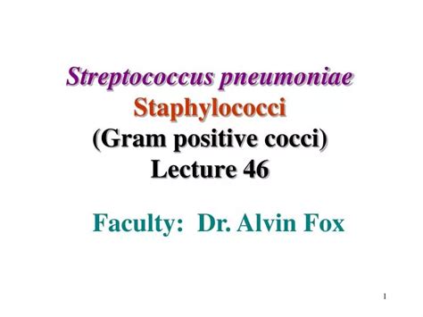 PPT Streptococcus Pneumoniae Staphylococci Gram Positive Cocci