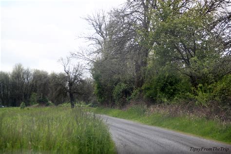 Auto Tour Of Ridgefield Wildlife Refuge Tipsy From The Trip