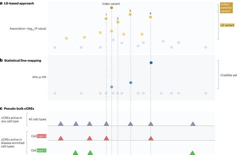Nature Reviews Genetics Naturerevgenet Twitter