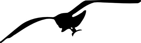 Frigate Bird Tattoo Clipart Best