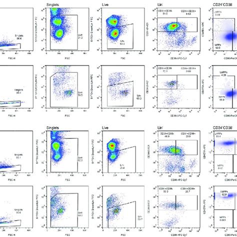 Compared Frequencies Of Mds Hspcs In Total Bm Mncs And After Cd34