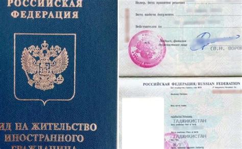 Вид на жительство в России важные аспекты КультТуризма