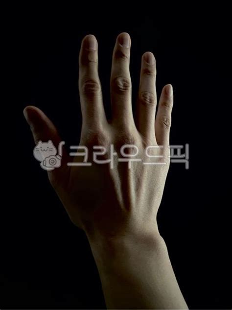 사람 Human 손 Hand 오른손 사진이미지일러스트캘리그라피 Cwgu작가