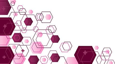 추상적 인 배경 벡터 벽지 화려한 요약 배경 일러스트 및 사진 무료 다운로드 Pngtree