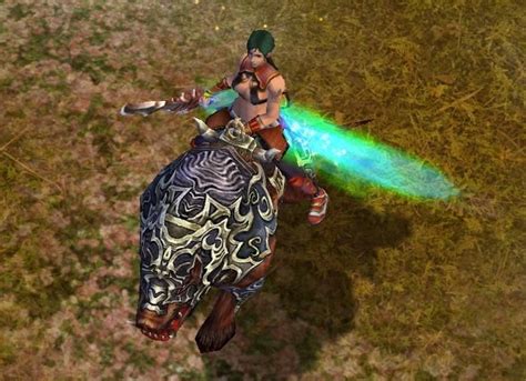 Visual Bug Effect Only Warrior Community Support Questions