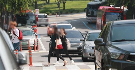 차량 사이 사이로 아찔신호등 없는 횡단보도 교통사고