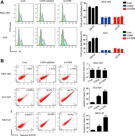 Down Regulation Of Usp8 Suppresses Her 3 Positive Gastric Cancer Cells