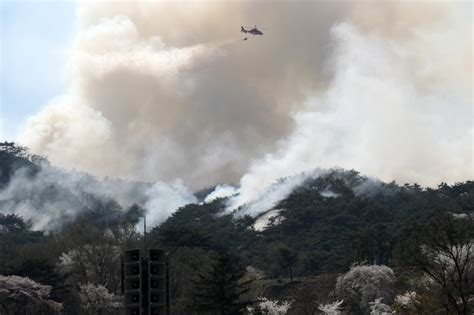 속보 전국 동시다발 산불 확산소방청 긴급중앙통제단 가동 파이낸셜뉴스