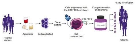 News Crispr And Universal Car T Cells Crispr Medicine