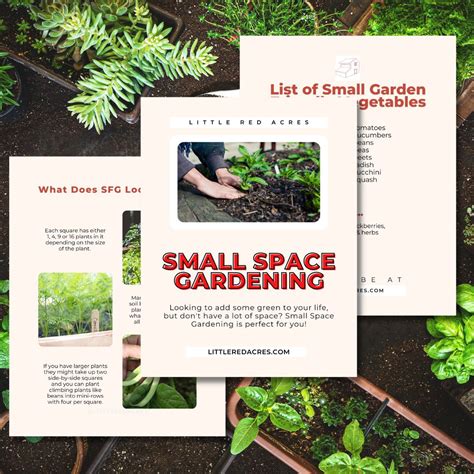 Small Space Gardening Little Red Acres Shop