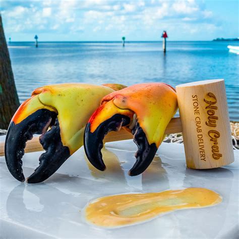 What To Know Florida Stone Crabs Holy Crab Delivery