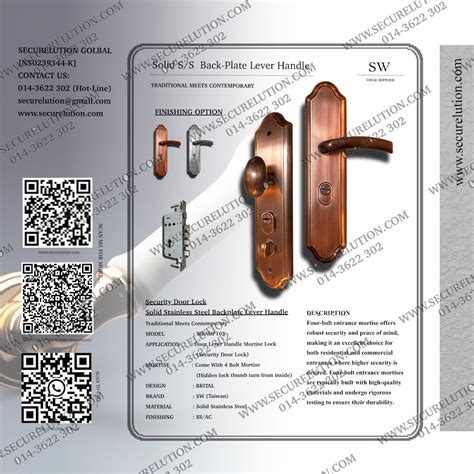 Solid Brass Back Plate Lever Handle Securelution