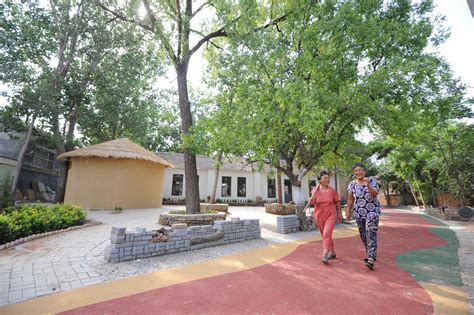 2021年中国美丽休闲乡村名单公示 夏津前屯村上榜德州24小时