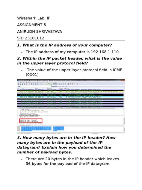 Wireshark Lab 5 Ip Assignment 23101012 Pdf Internet Protocols