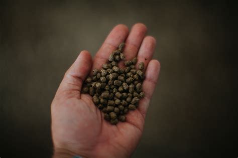 Technology Of Extruded Feed And Textured Soy Protein Production «extrutec