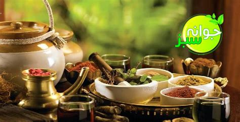 با طب سنتی آشنا شویم آموزشگاه جوانه سبز