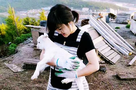 美女嫌打工挣得少，回农村老家放羊，从1只养到100只，生活有奔头