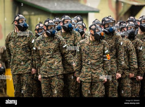 Us Marine Recruits Prepare To Enter The Gas Chamber During Boot Camp