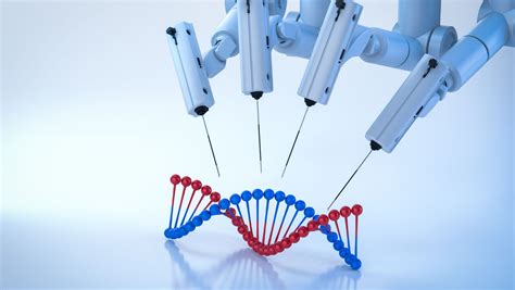 which of the following correctly organizes these genetic terms in order