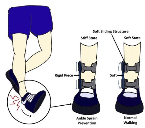 Hanyang Harco Lab Exoskeleton