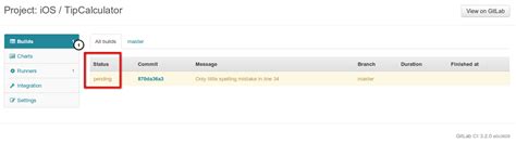 Deployment Gitlab Ci Project Build In Neverending Pending State Stack Overflow