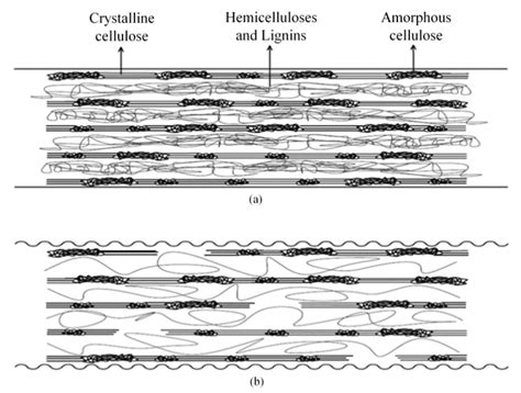 Materials Special Issue Advances In Functionalization Of Lignocellulosic Materials