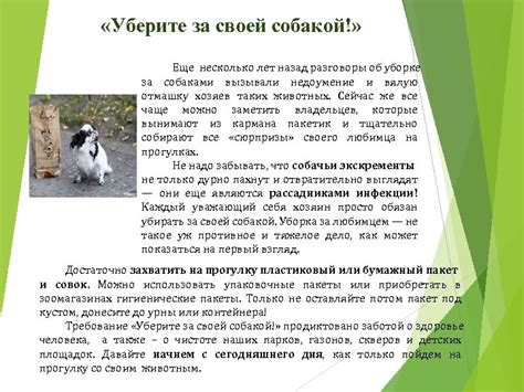 Уберите за своей собакой Еще несколько лет