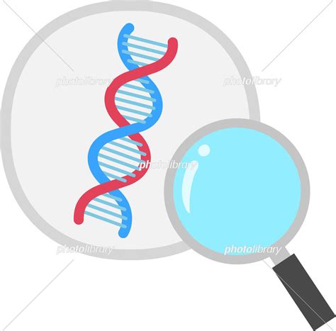 遺伝子の二重らせんと虫眼鏡 イラスト素材 6148709 フォトライブラリー Photolibrary