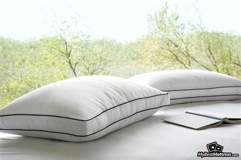 Best Latex Pillow Reviews 2025 5 Worthy Options For You