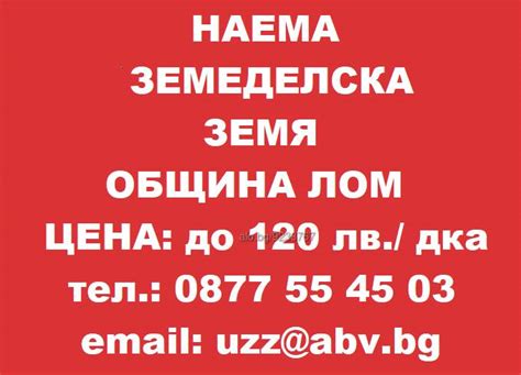 Наема арендова земеделска земя в Община Лом до 120 лв на декар Парцел