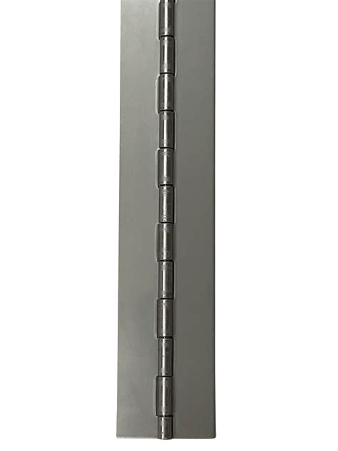 38 X 12 X 1800mm Long 304 2b Ss Hinge 315mm Ss Pin Windeyer