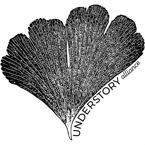 Im Excited To Share That Im Currently Working As An Accounting Intern At Understory Alliance