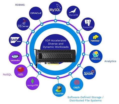 Pliops Launches Extreme Data Processor To Multiply Data Intensive