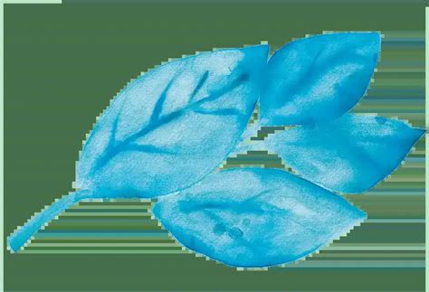 Alpro Protein Cioccolato Alpro