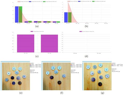 Statistics View For Worker With One Invalid Annotation A Distance