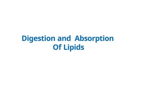 Digestion And Absorption Of Lipids Ppt Ppt