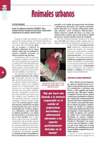 Animales Urbanos Colegio De Veterinarios De Madrid
