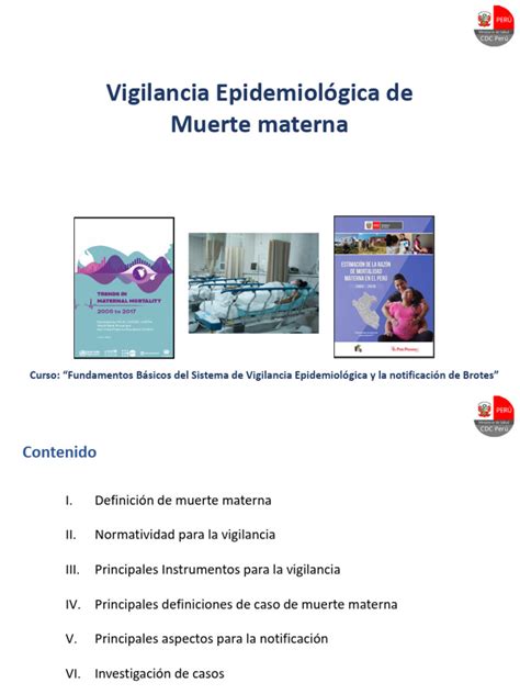 Vigilancia De Muerte Materna Pdf Muerte Materna Economía De La Salud