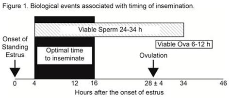 Artificial Insemination Engormix