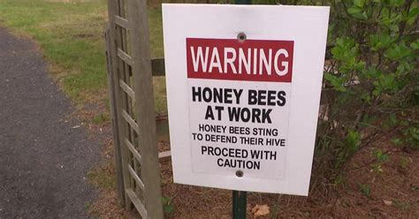 17 Year Old Kaitlyn Culbert Of Toms River Nj Honored For Protecting