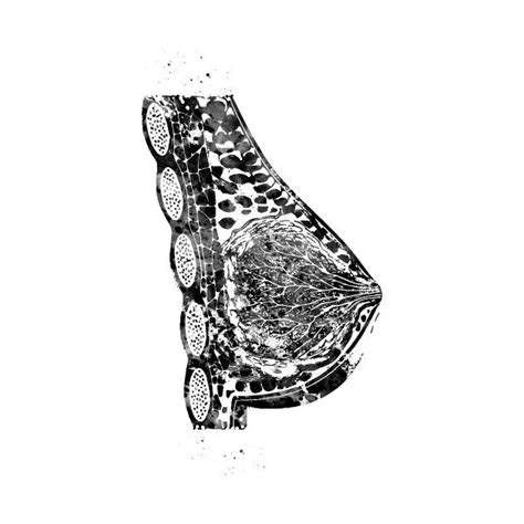 Pin On TeePublic