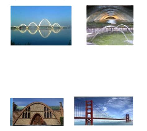 Parabola In Nature Examples