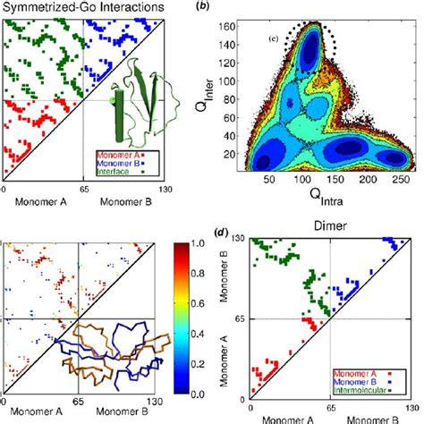 Examples Of Domain Swapping Proteins And The Proximity Of The Prolines