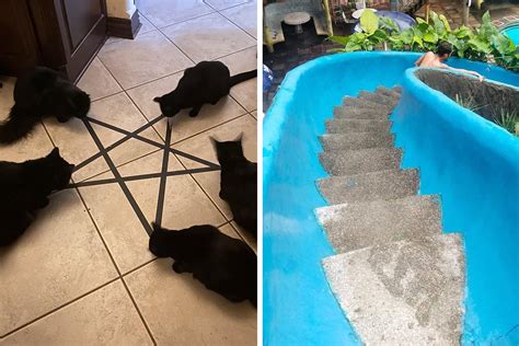 50 Pics Without Context That Get Weirder And Weirder The Longer You