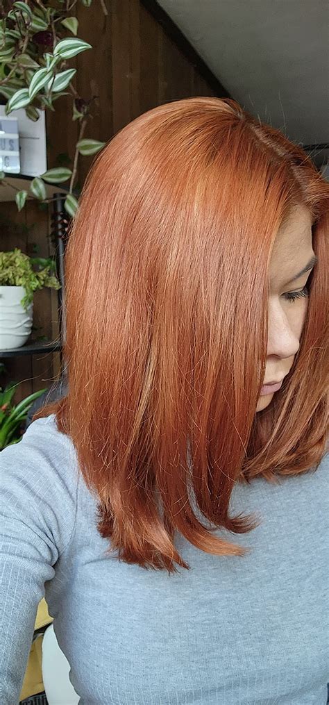 2 Mo Finance Schwarzkopf Igora Royal Colorist S Color Creme Tube 6