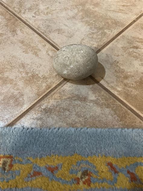 is this a fossilized egg r fossilid