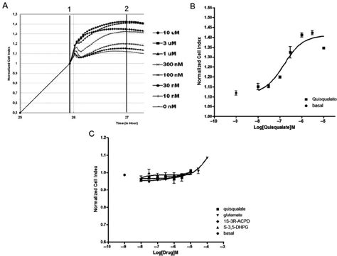 Modification Of Impedance In Cho Hmglur1 And Chinese Hamster Ovary Download Scientific Diagram