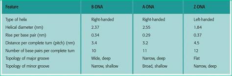 Different Forms Of Dna