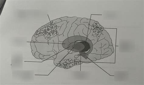 NRS LEC 2 IMAGE Diagram Quizlet