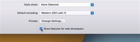 Inspecting Web Pages In Safari On MacOS Developer Tools SimplyMac
